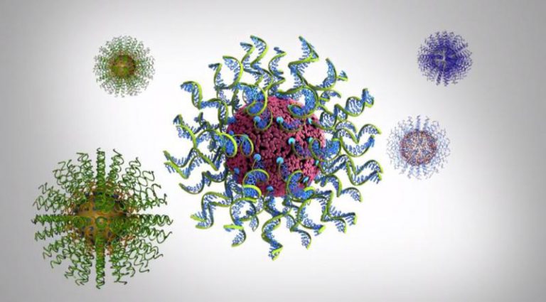 SNAs: targeting disease from every angle - International Institute for ...