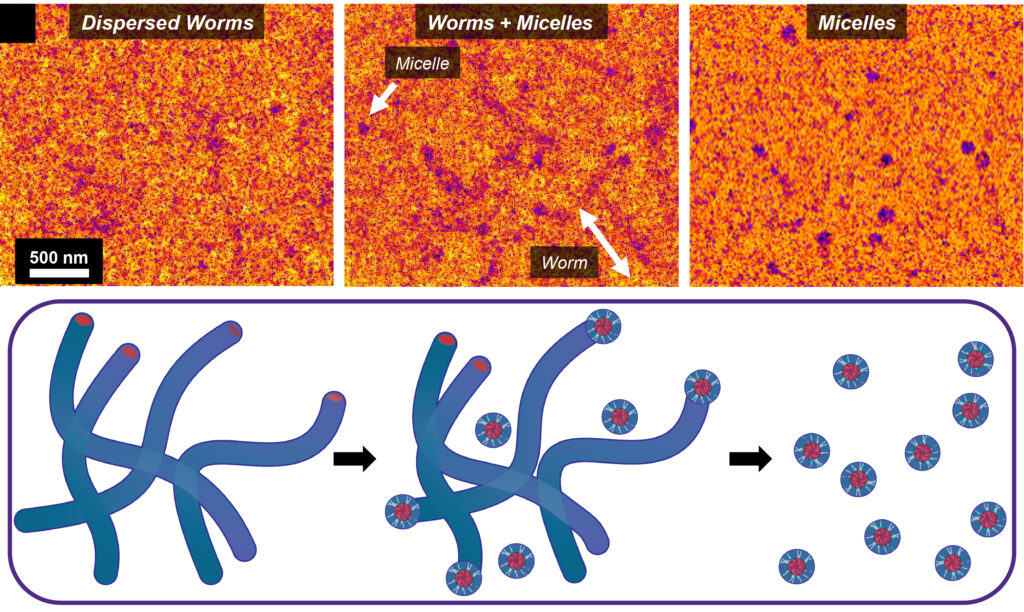 Monte Carlo simulations bring new focus to electron microscopy ...
